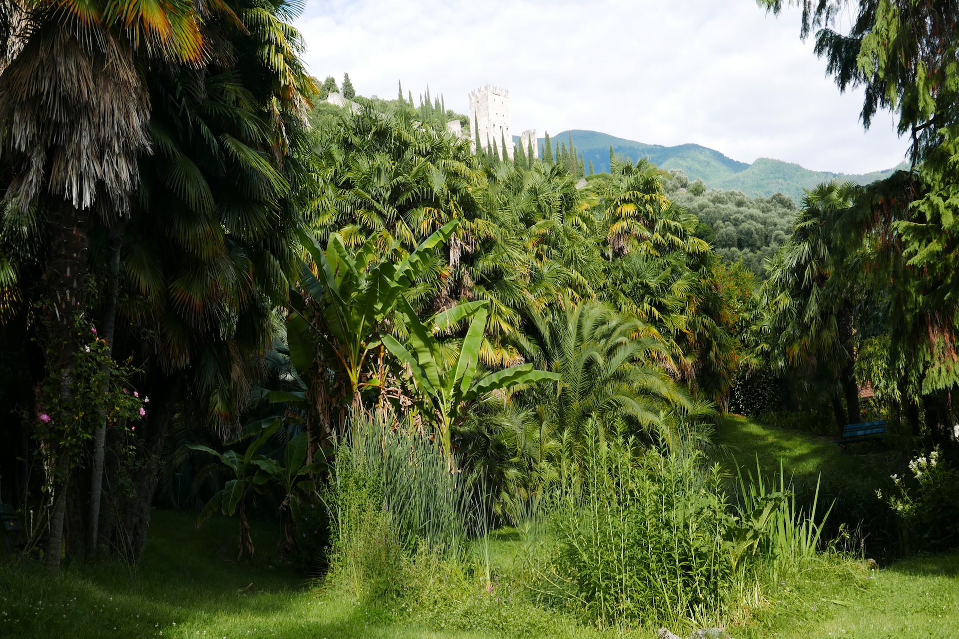 Arboreto di Arco - Garden Route